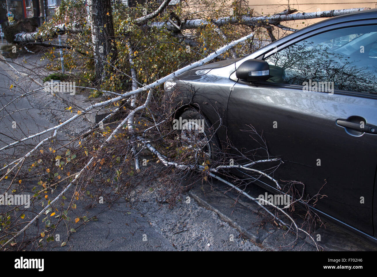 Car under tree hi-res stock photography and images - Alamy