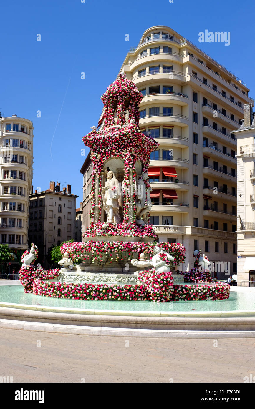 Lyon flower hi-res stock photography and images - Alamy