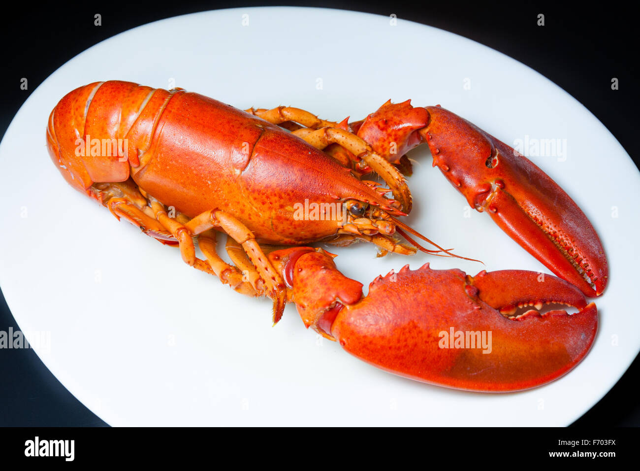 Lobster plate hi-res stock photography and images - Alamy