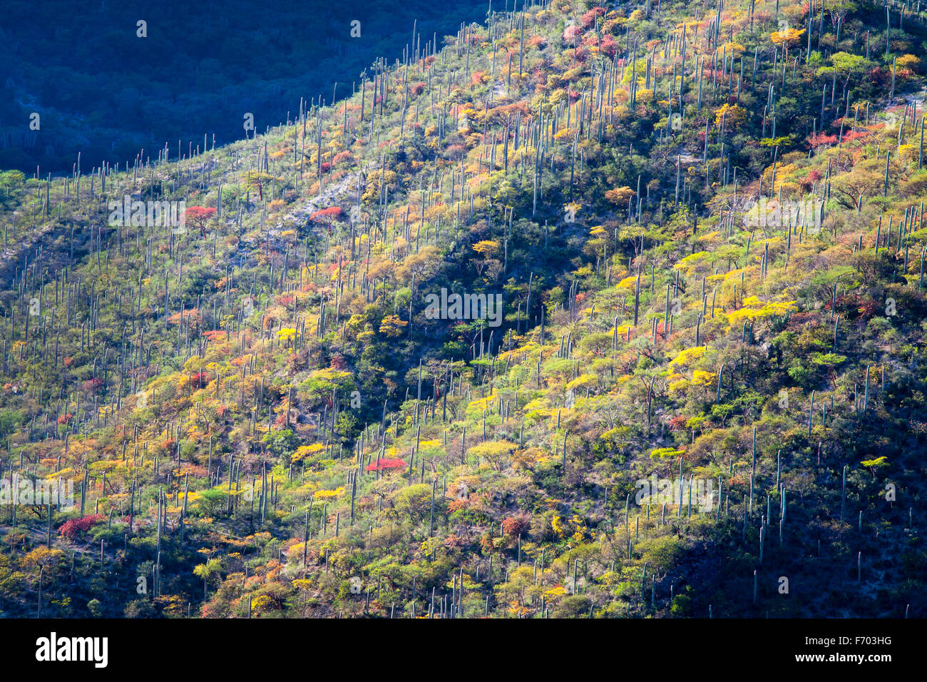 Northern mexico landscape hi-res stock photography and images - Alamy