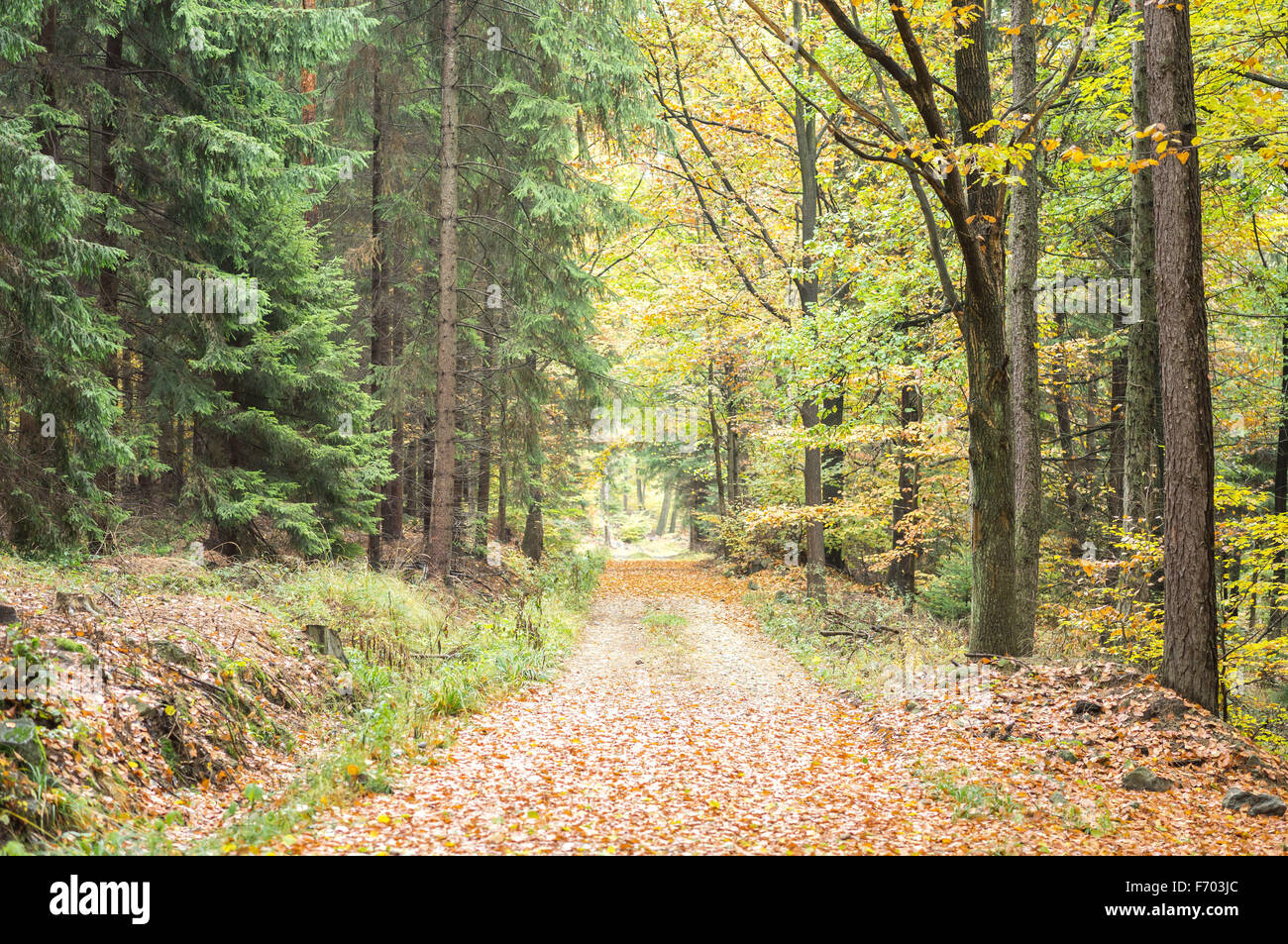 Sleza mount hi-res stock photography and images - Alamy