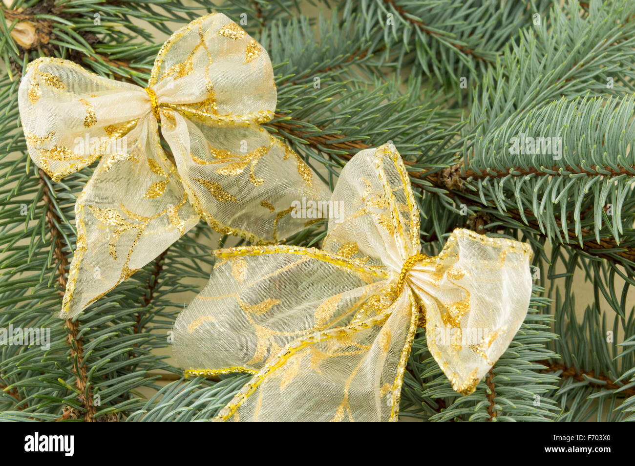 Silver bow on fir hi-res stock photography and images - Alamy