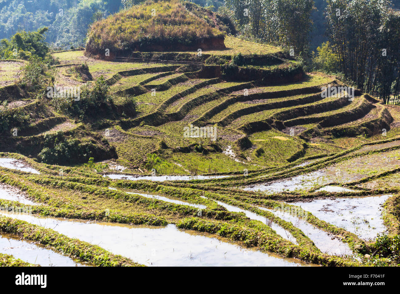 Rice terraces landscape in Sa Pa Stock Photo - Alamy