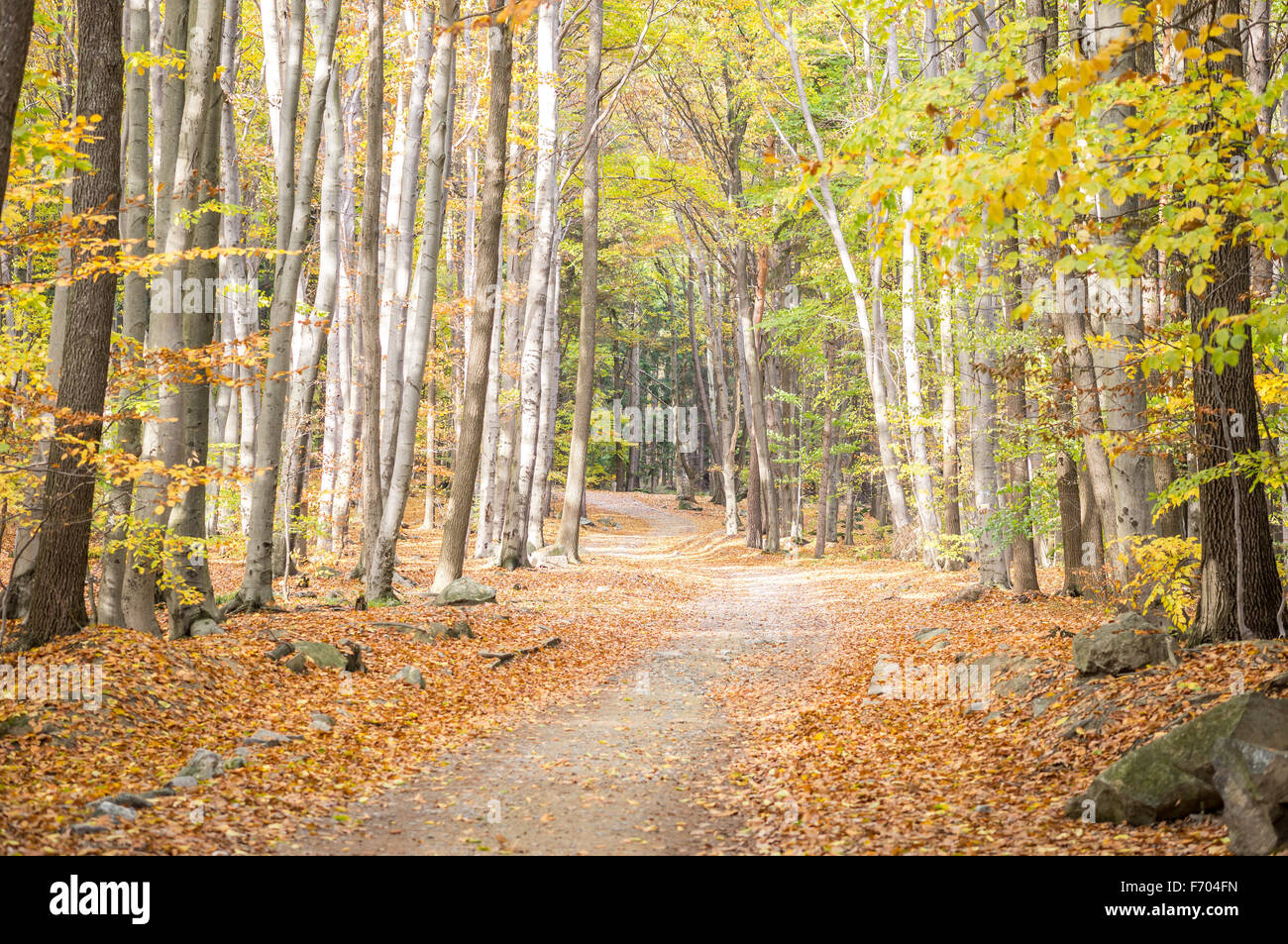 Sleza mount hi-res stock photography and images - Alamy