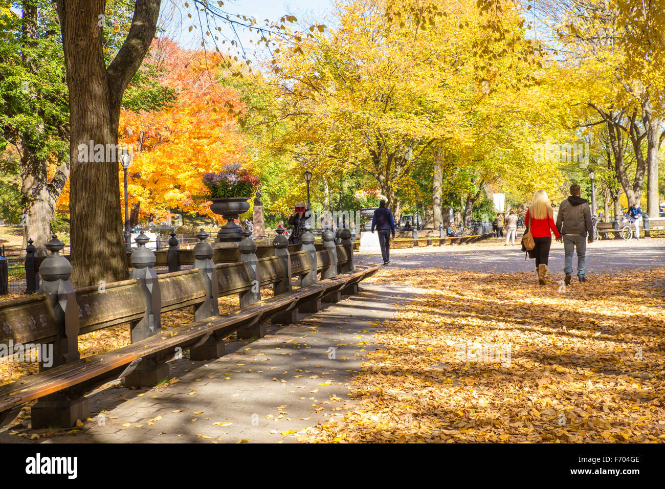 Autumn view of the Literary Walk Mall at Central Park in Manhattan with ...