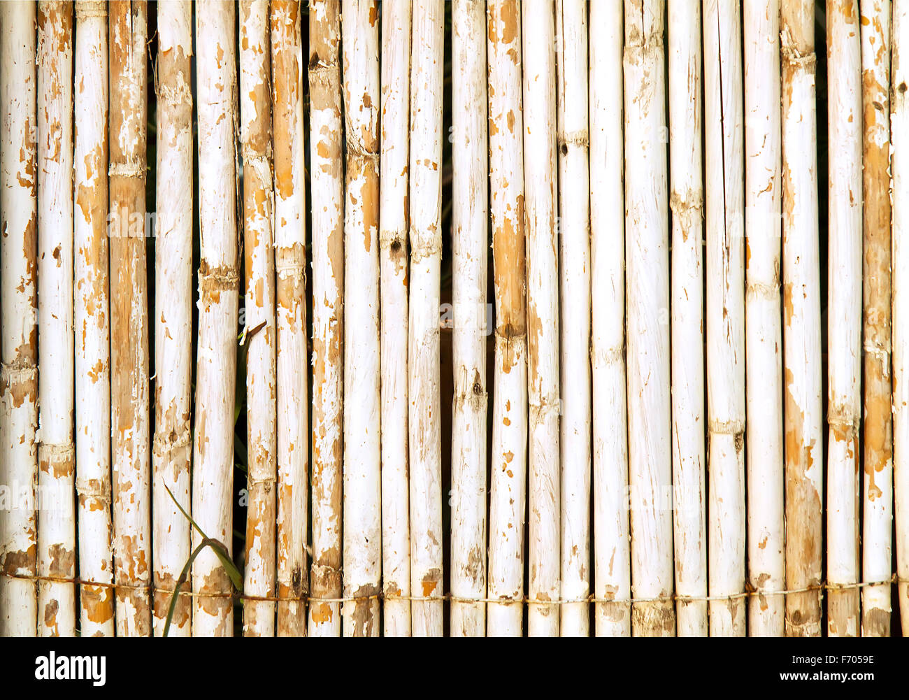 Old Bamboo Wall With Weathered White Paint Background Texture Stock ...