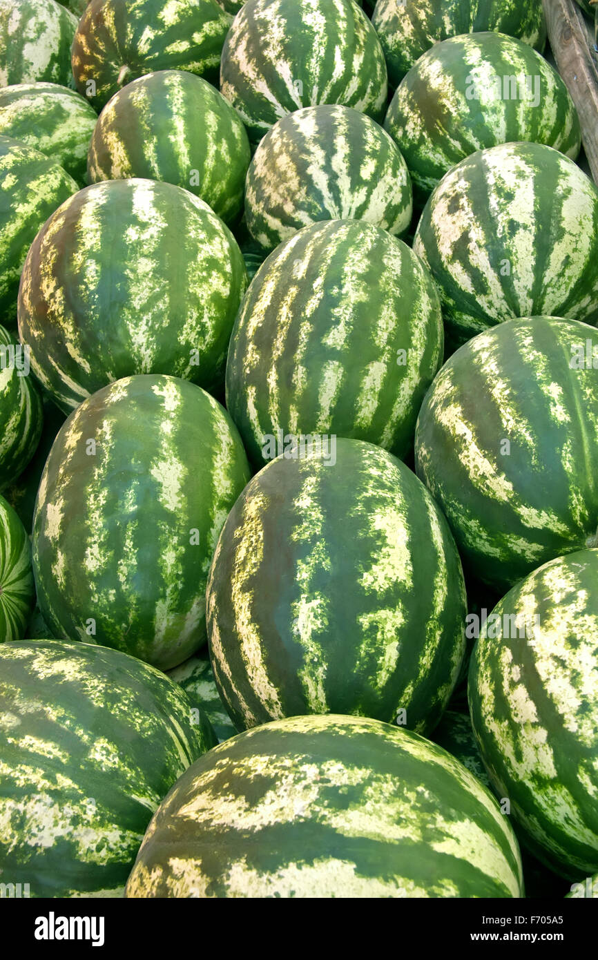 Bunch of watermelon hi-res stock photography and images - Alamy