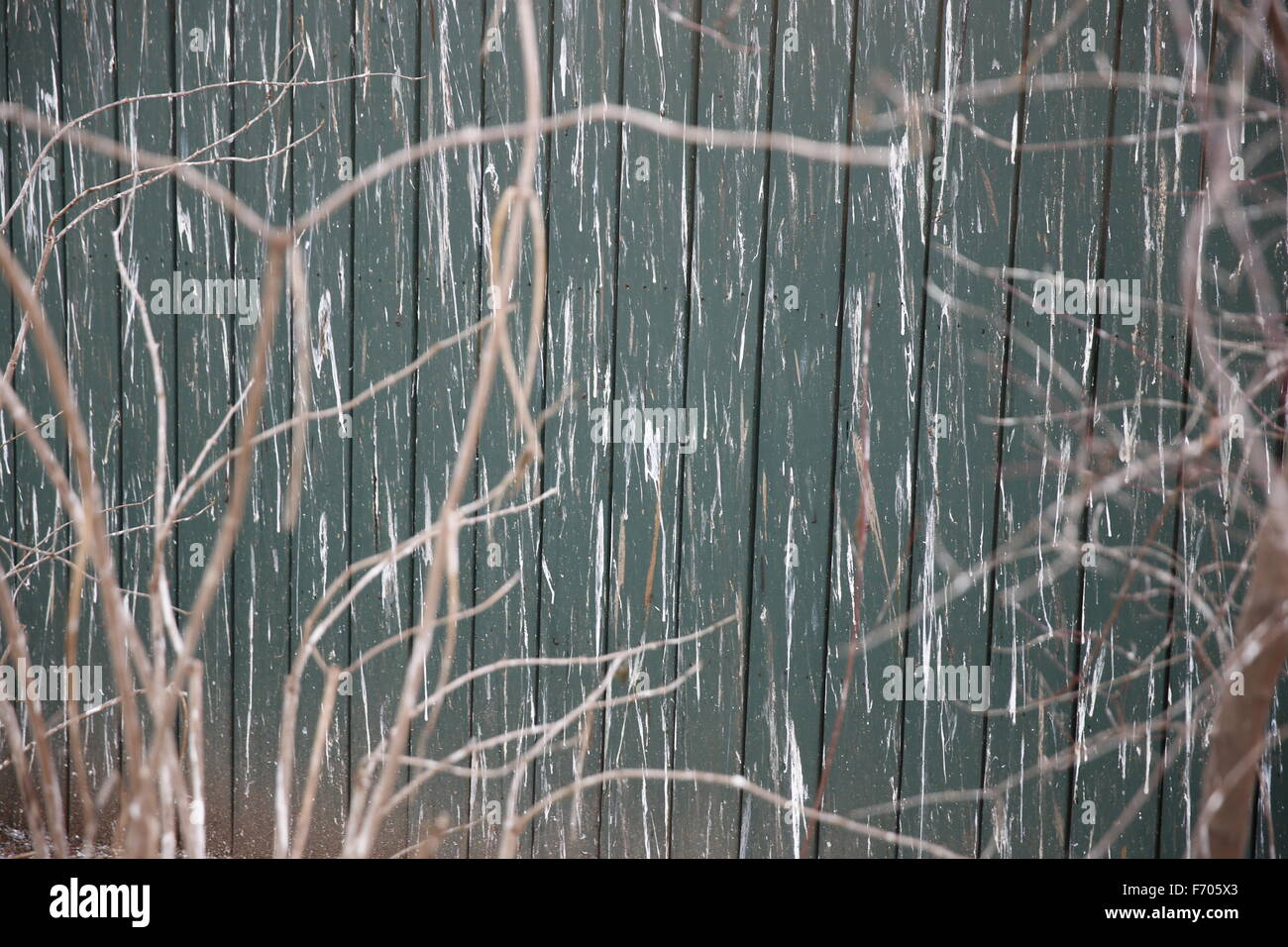 Crow dropping leave streaks on a fence near the courthouse Stock Photo ...