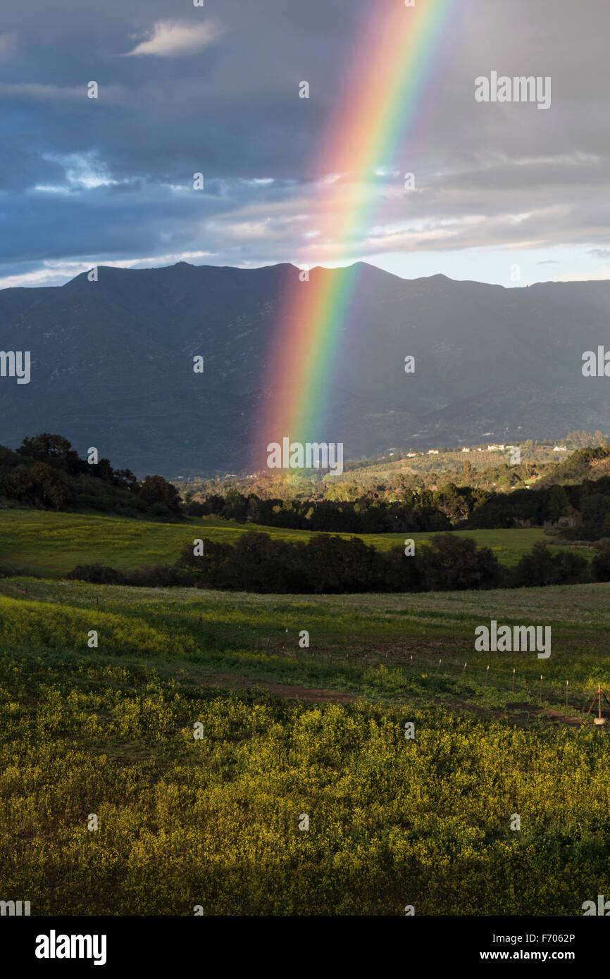 Full rainbow hi-res stock photography and images - Alamy