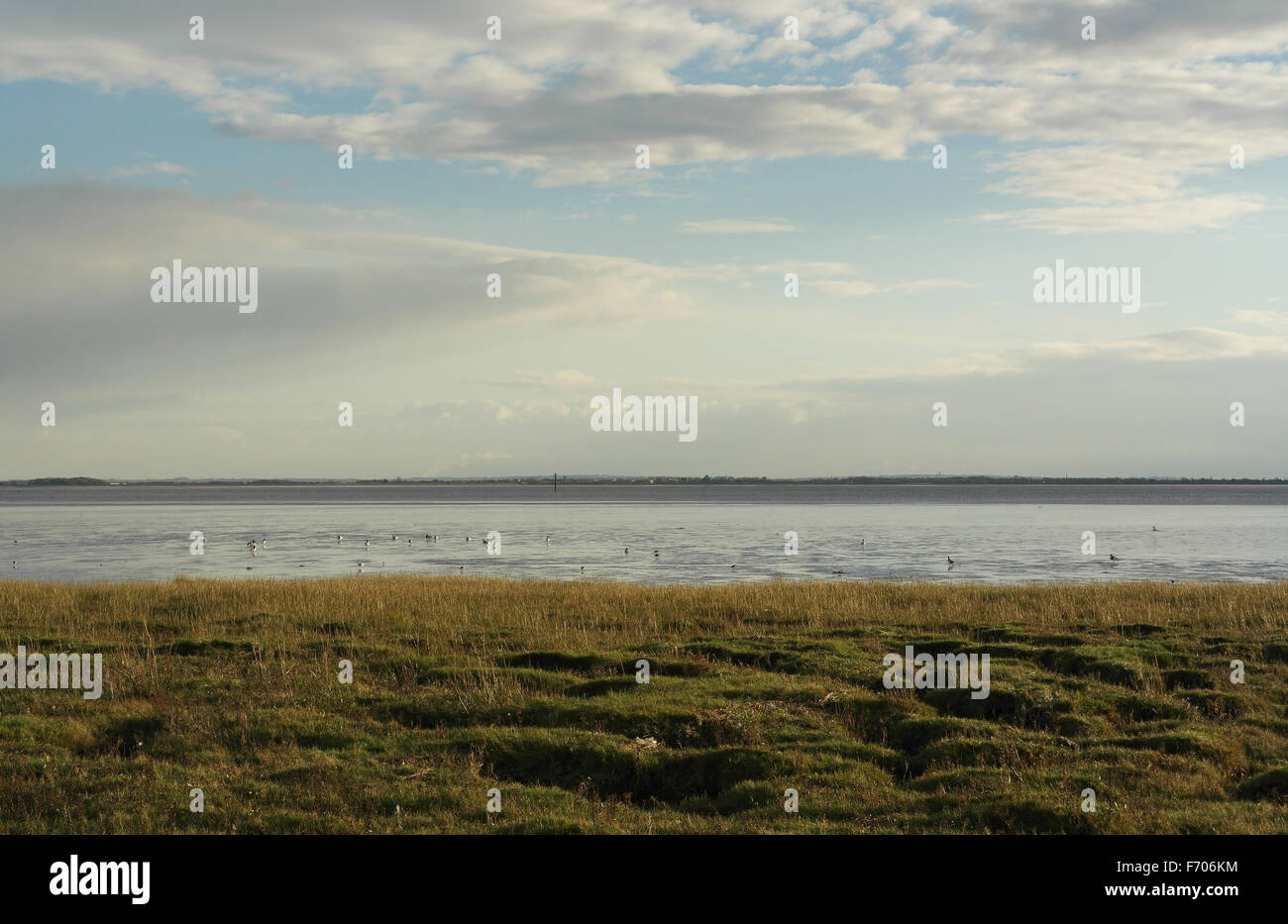 Blue sky white clouds view across saltmarsh towards Ribble Estuary and ...