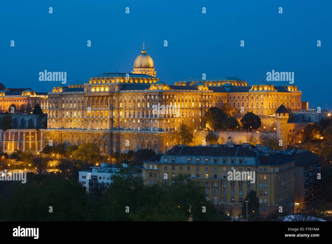 Castle of Buda Stock Photo - Alamy