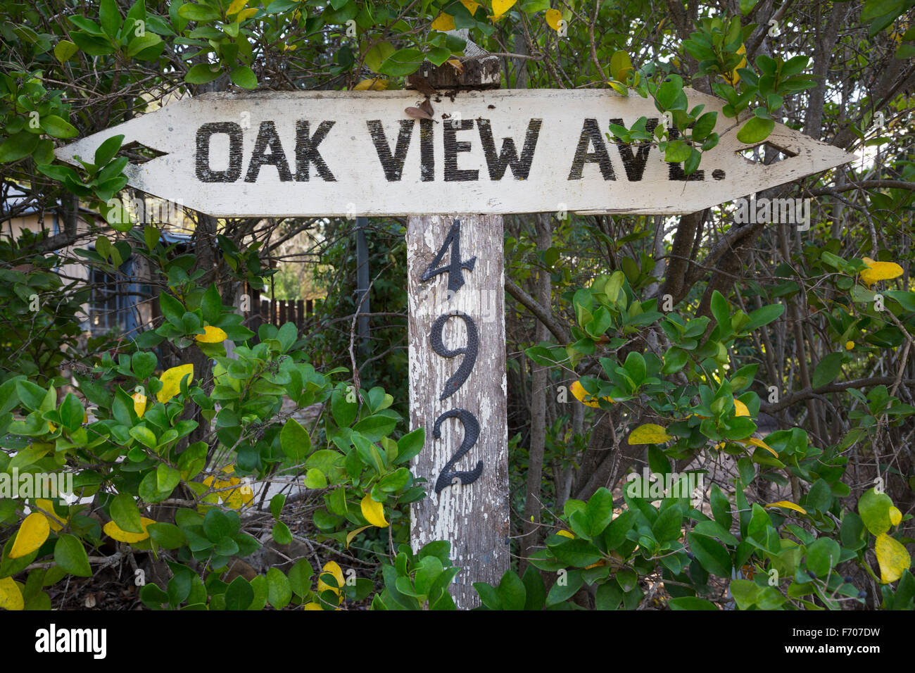 Oak View, California, USA, December 15, Oak View Avenue road sign Stock ...