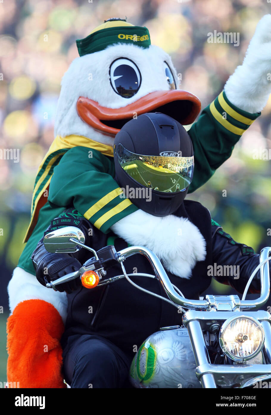 Autzen Stadium, Eugene, OR, USA. 21st Nov, 2015. The Oregon Duck gets ...