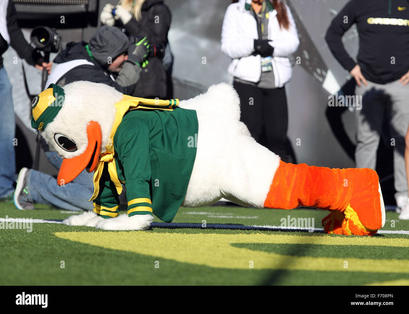 Duck pat hi-res stock photography and images - Alamy