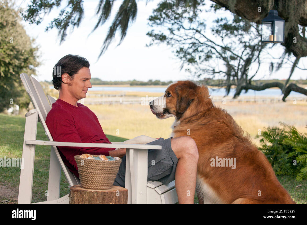 The Choice is an upcoming American romantic drama film directed by Ross ...