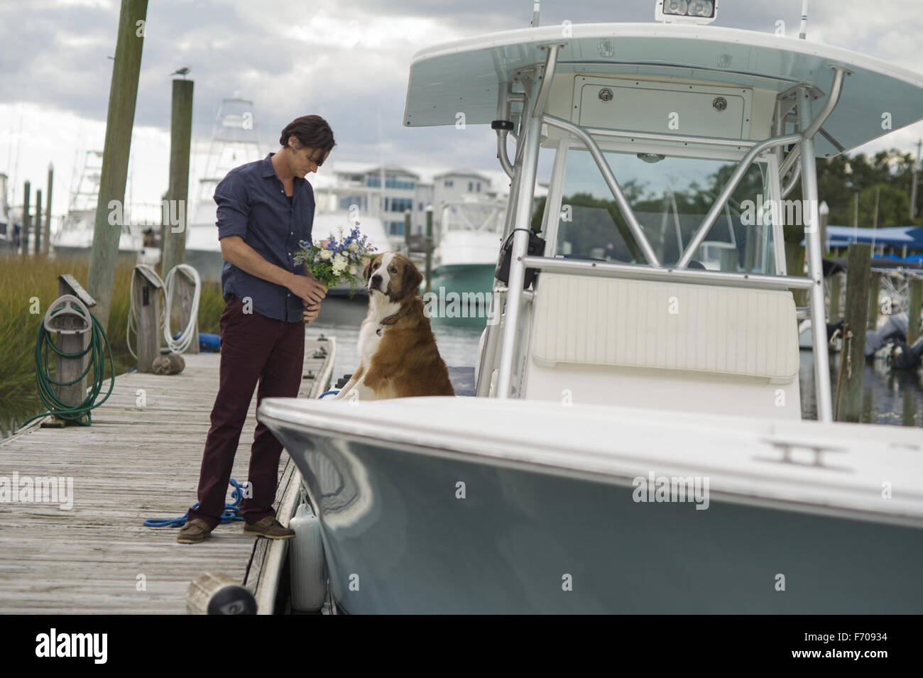 The Choice is an upcoming American romantic drama film directed by Ross ...