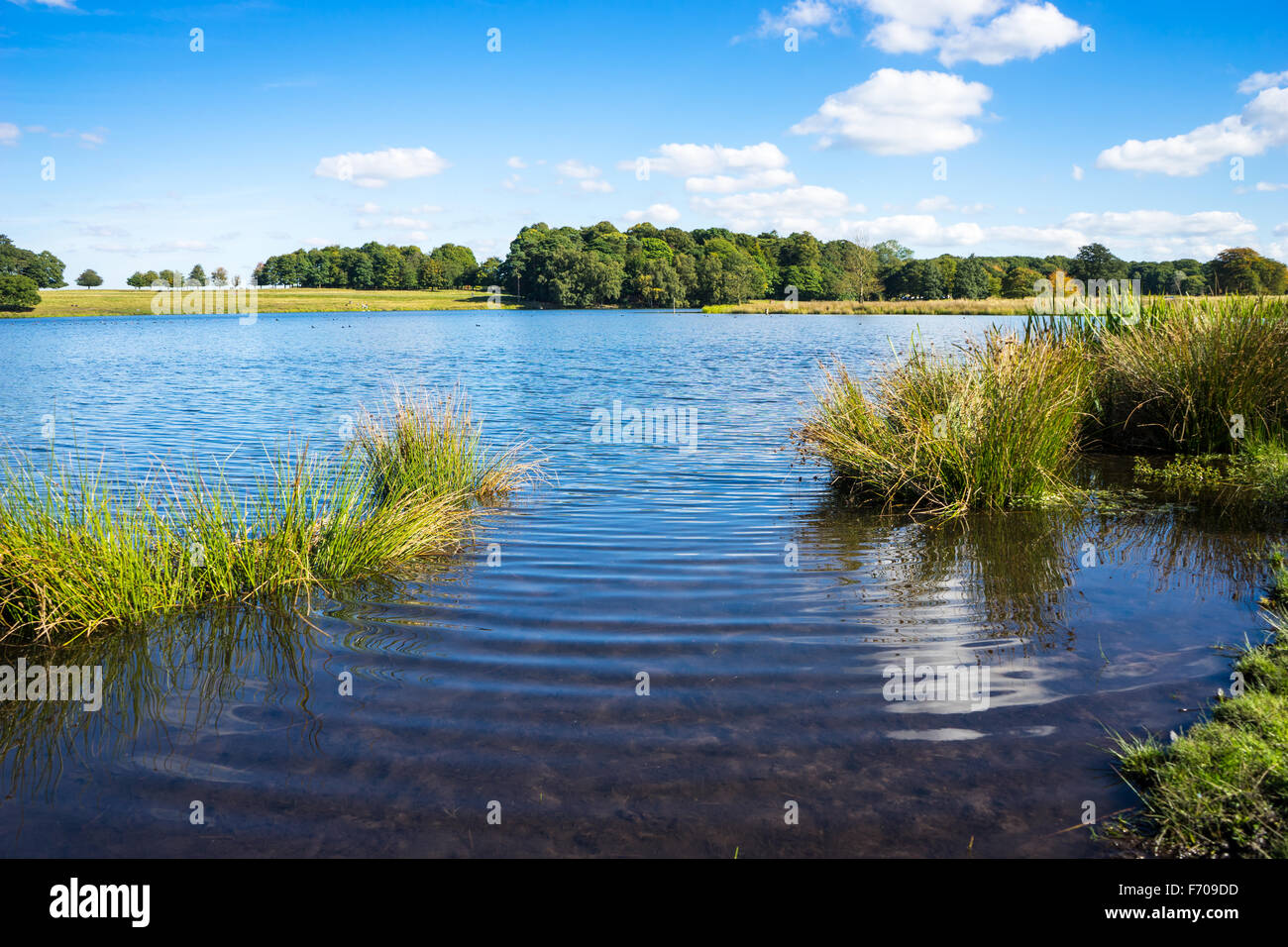 Tatton park estate hi-res stock photography and images - Alamy