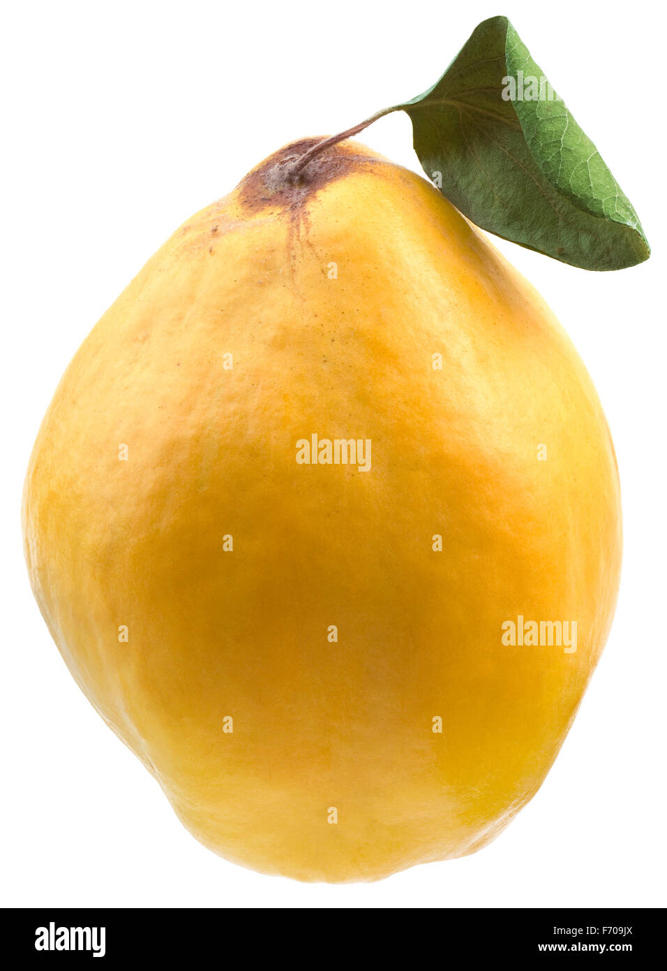 Quince fruit hi-res stock photography and images - Alamy