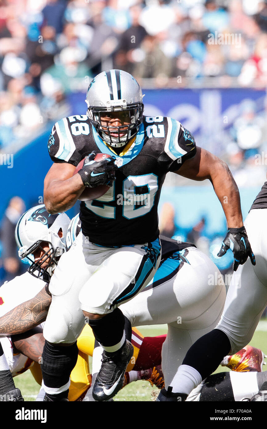 Charlotte, NC, USA. 22nd Nov, 2015. Jonathan Stewart (28) of the ...