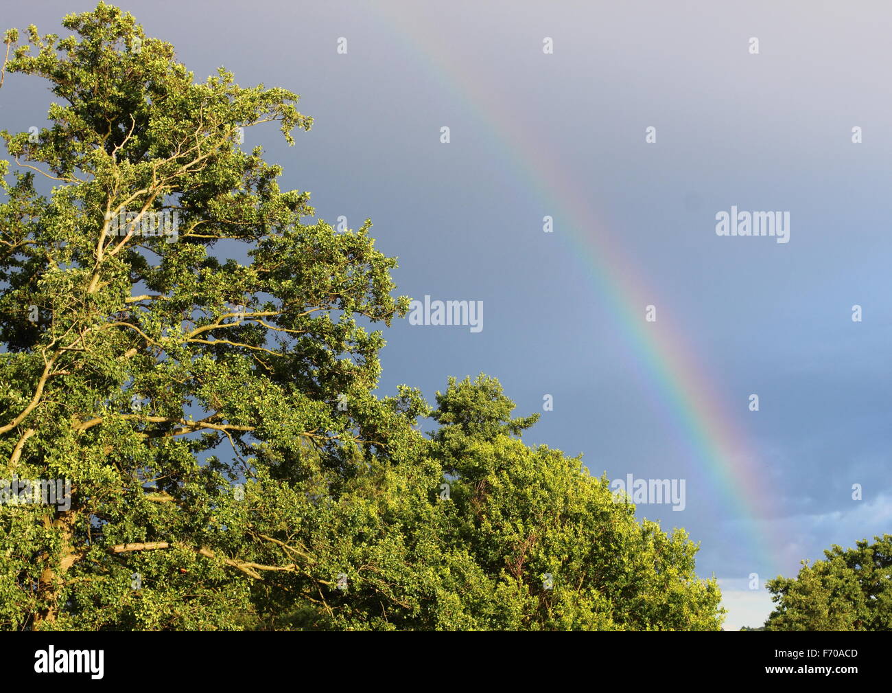 Rainbow on sky forest hi-res stock photography and images - Alamy