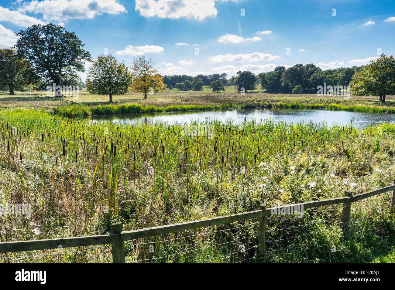 Estate of Tatton Park; National Trust Property, Northwest England, UK ...