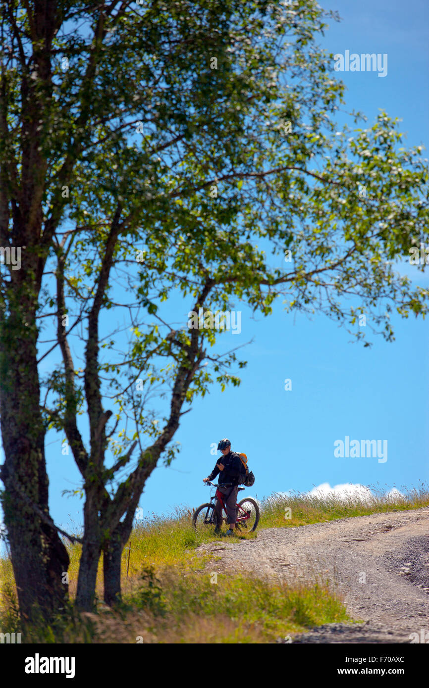 Mountain biking Chamonix Stock Photo - Alamy