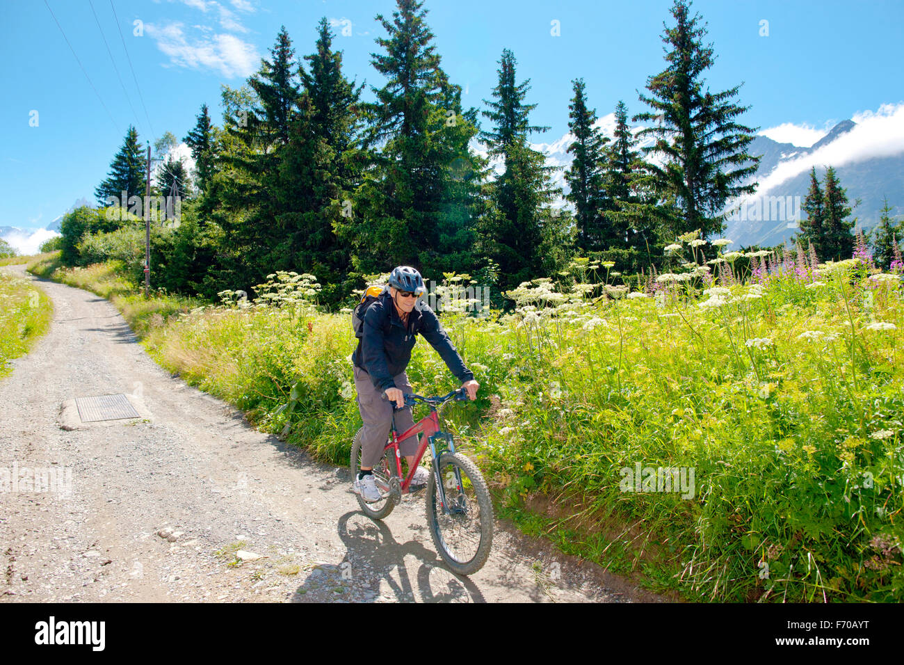 Mountain biking Chamonix Stock Photo - Alamy