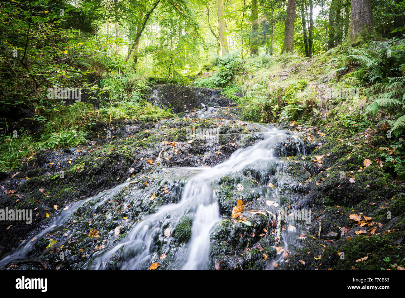 Waterfall, Lake Windermere, Lake district, Cumbria, UK Stock Photo - Alamy
