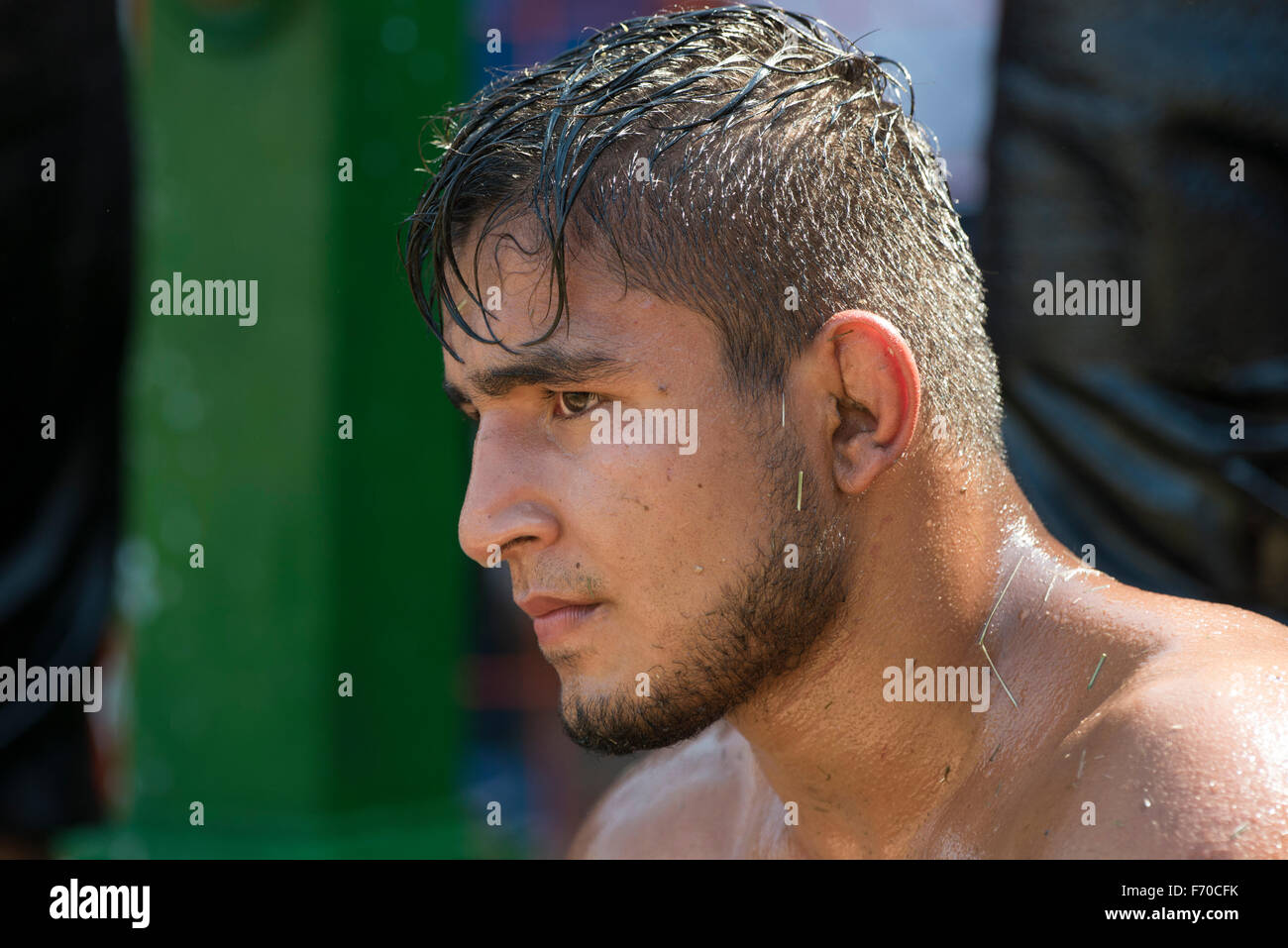 Wrestler, Kirkpinar 654th Oil Wrestling Championships, Edirne, Turkey ...