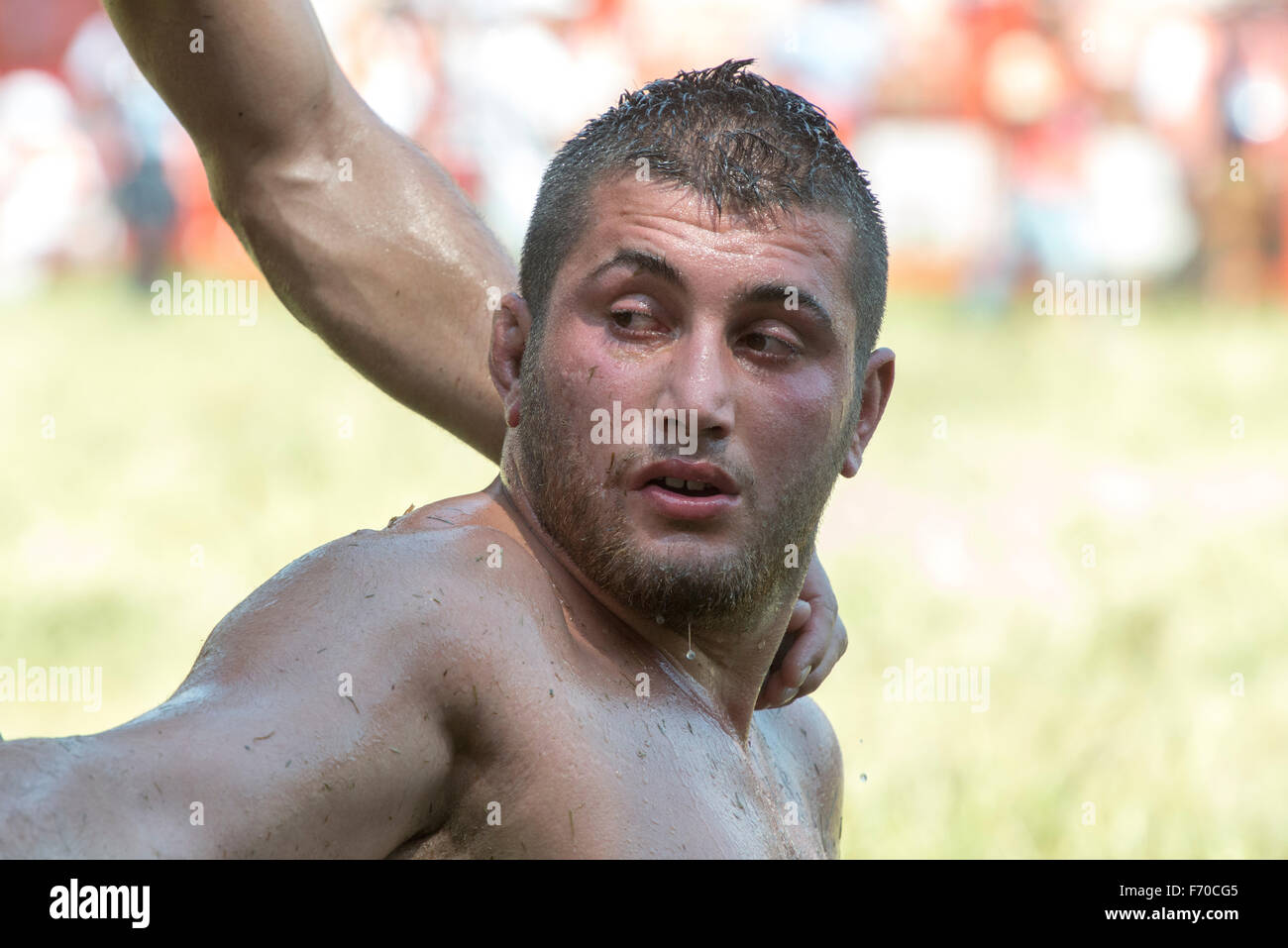 Wrestler, Kirkpinar 654th Oil Wrestling Championships, Edirne, Turkey ...