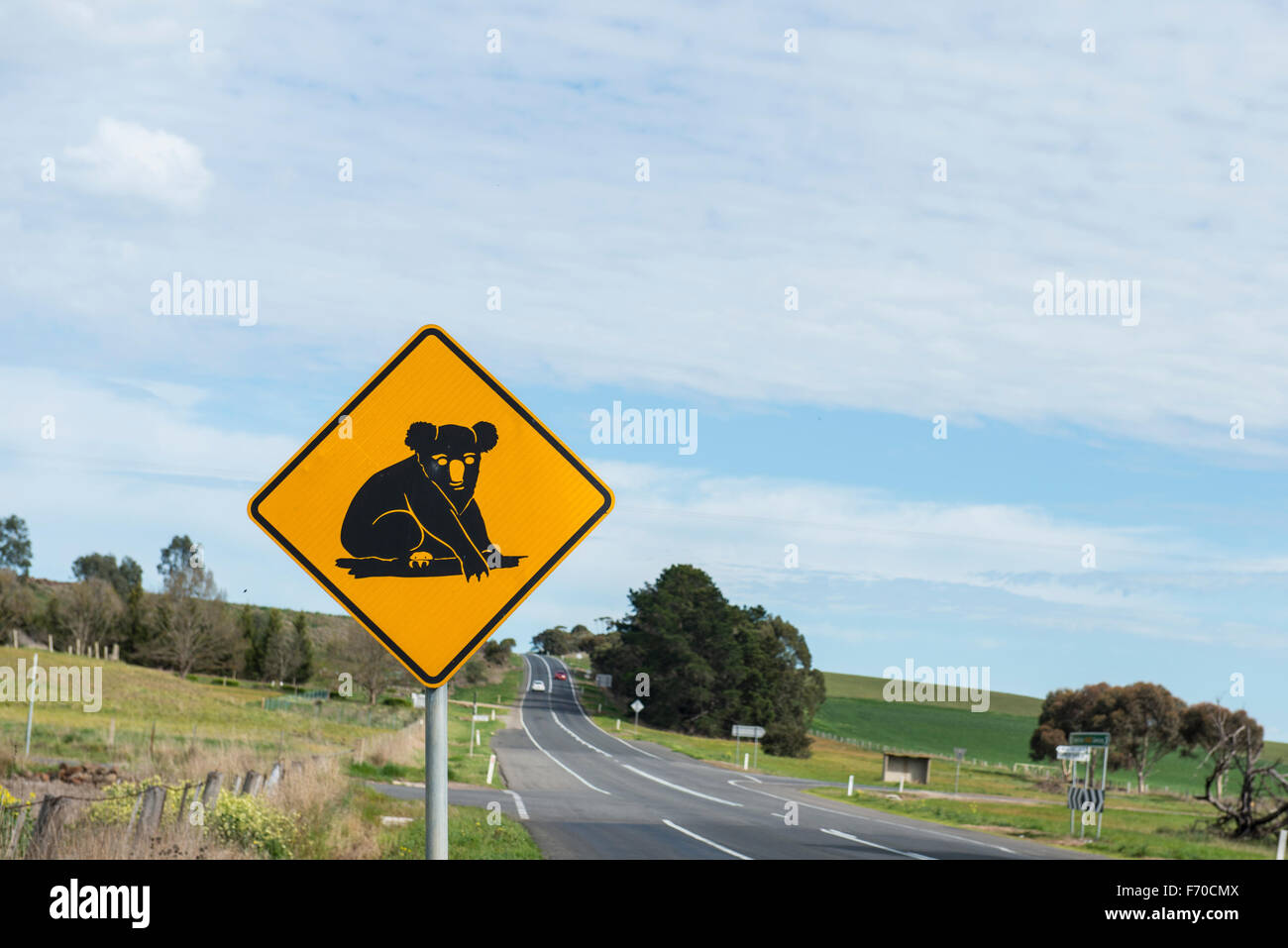 Koala sign road yellow hi-res stock photography and images - Alamy