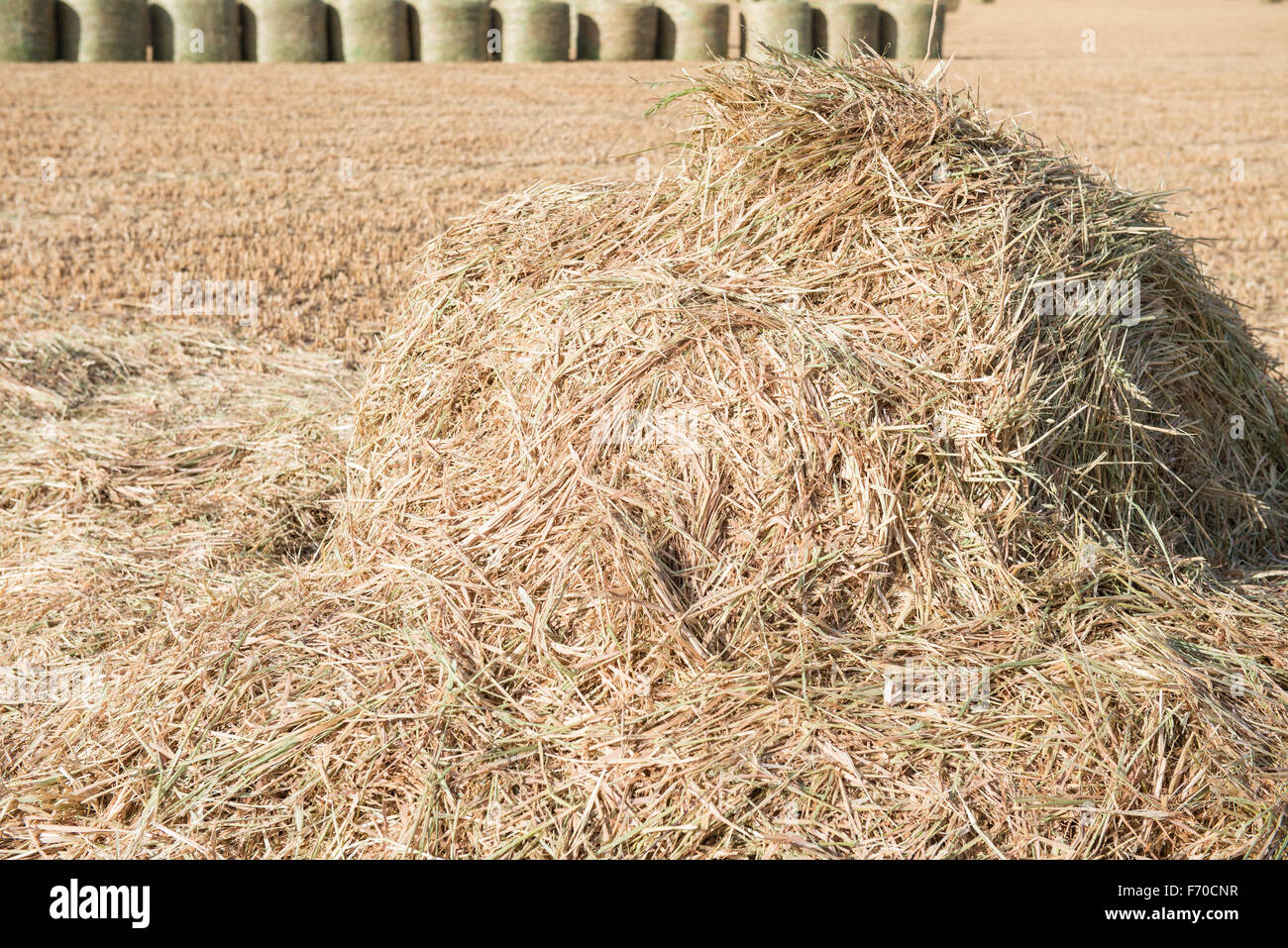 Haystack in Victoria, Australia Stock Photo - Alamy