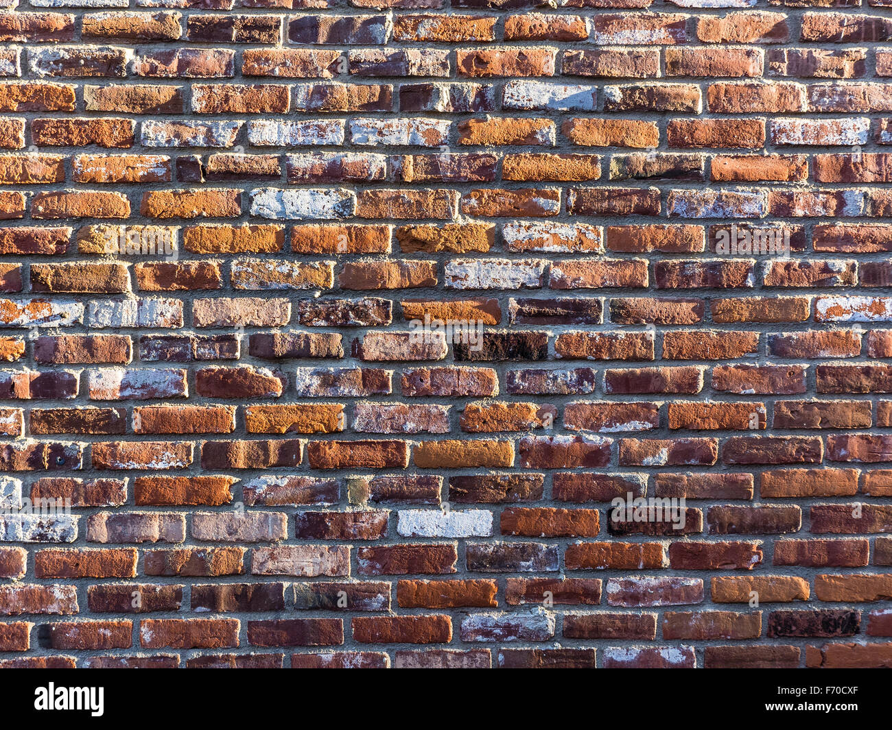 A close-up of a brick wall that is lit with late afternoon dramatic ...