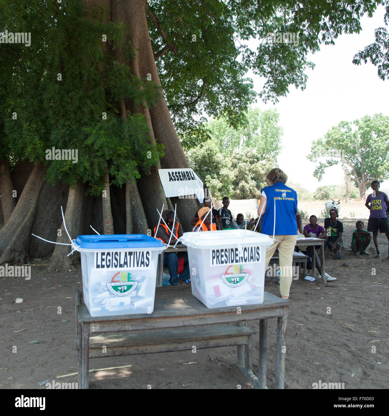 Ballot station tree hi-res stock photography and images - Alamy