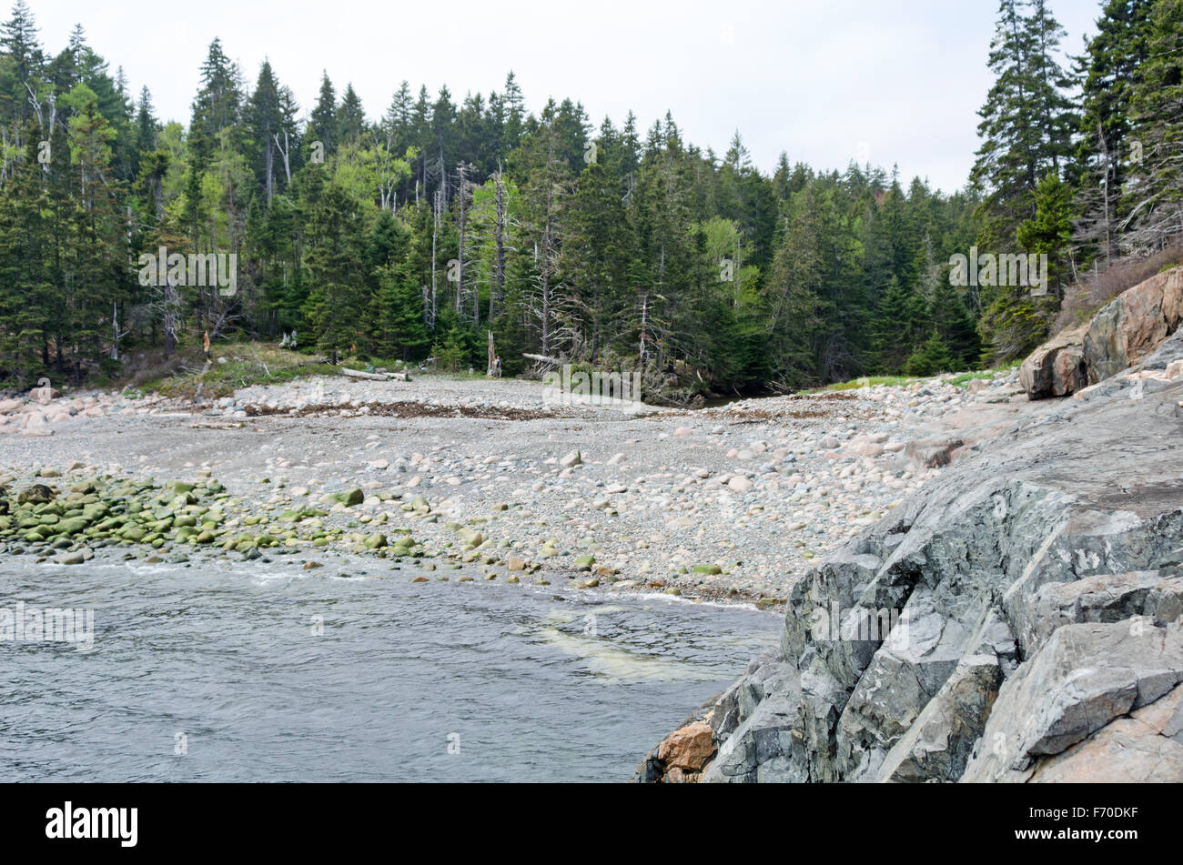 Springtime at Hunters Beach, a cobble beach in Acadia National Park ...