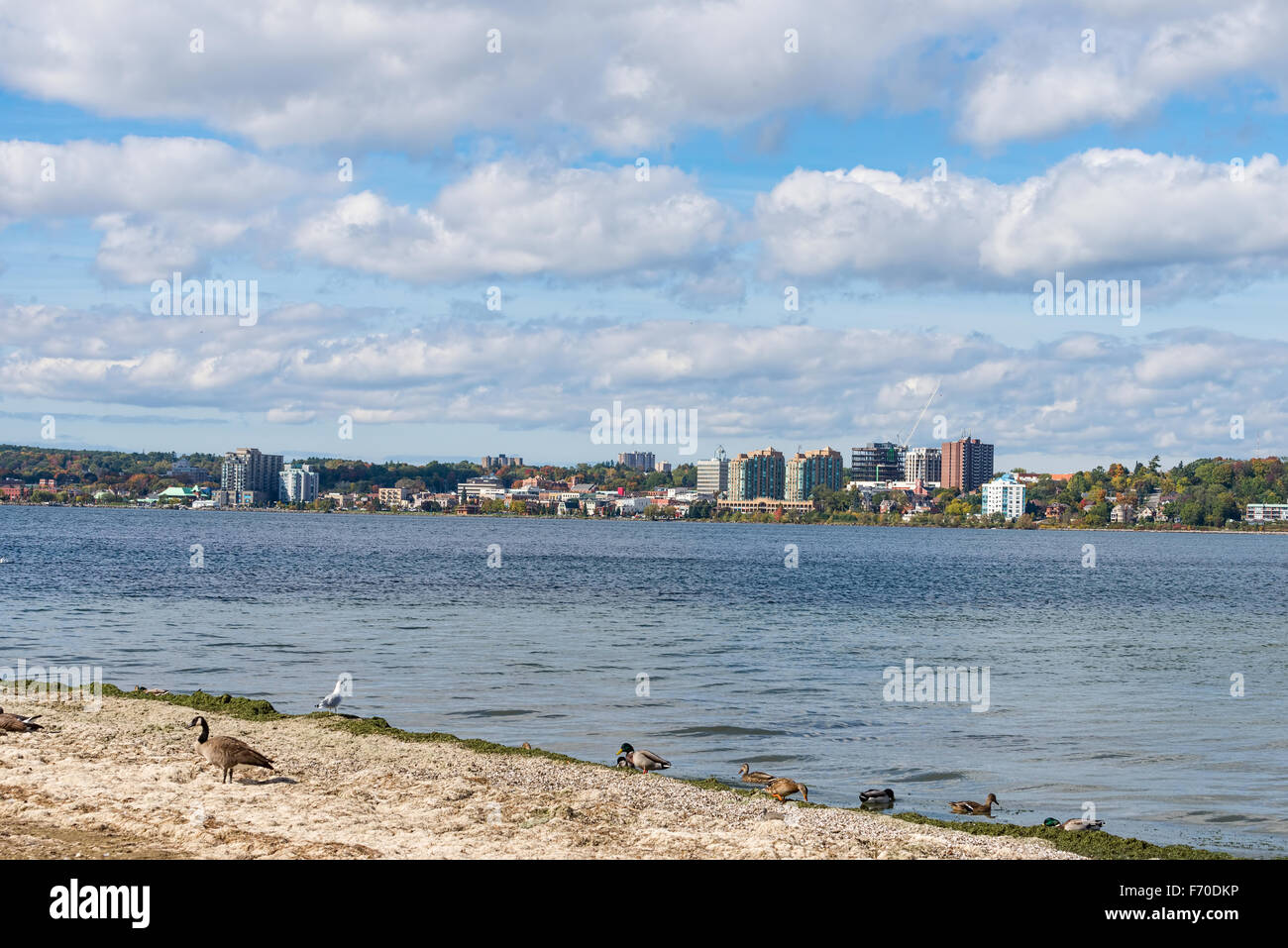 Skyline of Barrie, Ontario Stock Photo - Alamy