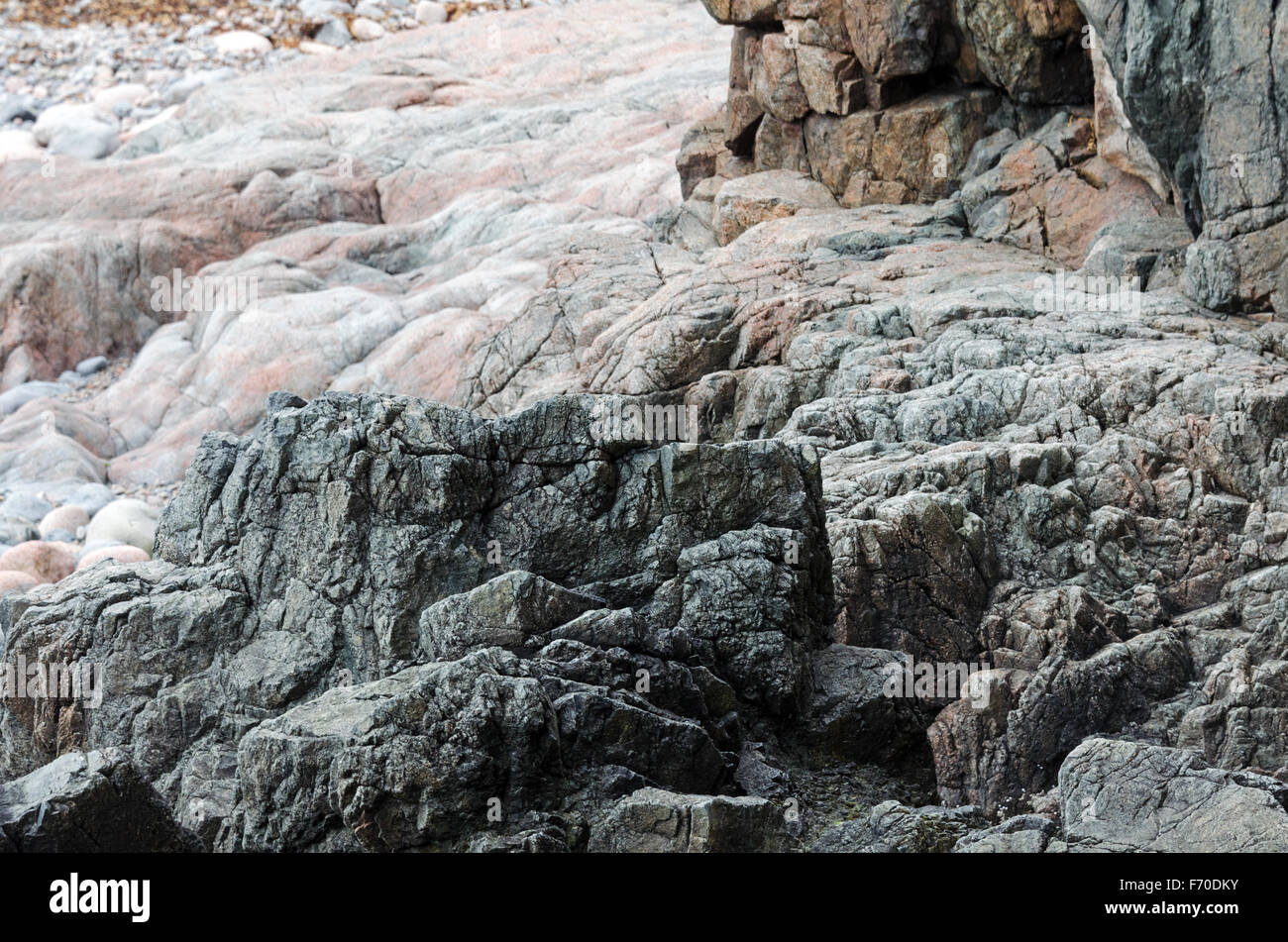 Pink Cadillac Mountain Granite flows around older country rock in the ...