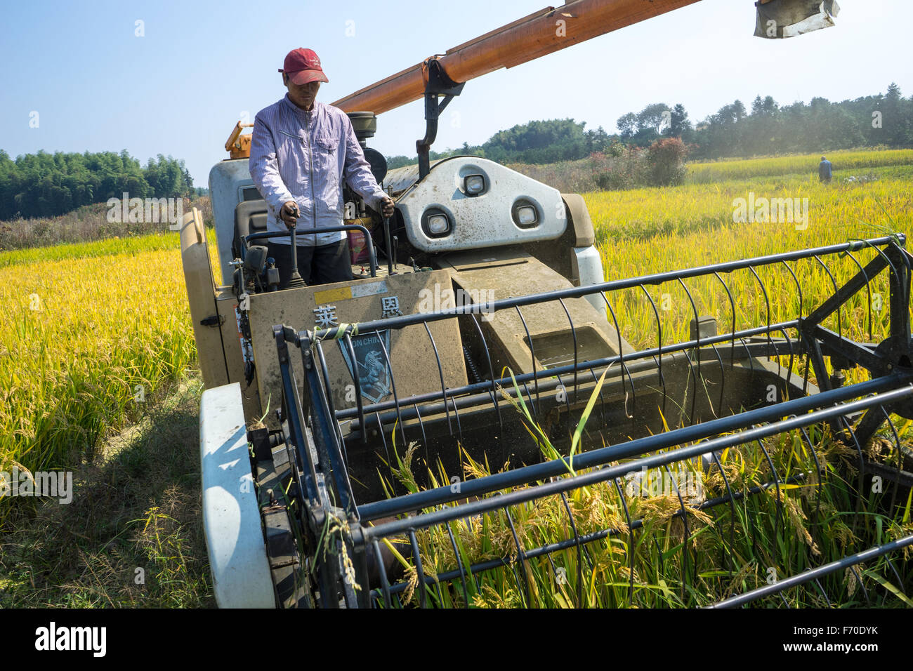China farmer with tractor hi-res stock photography and images - Alamy