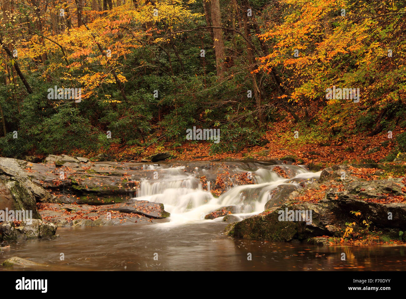 Small waterfalls along the Little River in Great Smokey Mountains ...