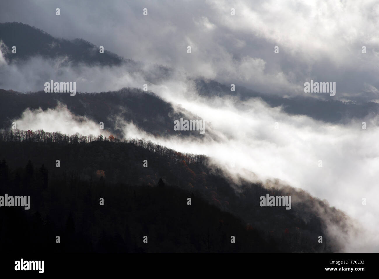 A dense mist rises over the hills in Great Smokey Mountains National ...