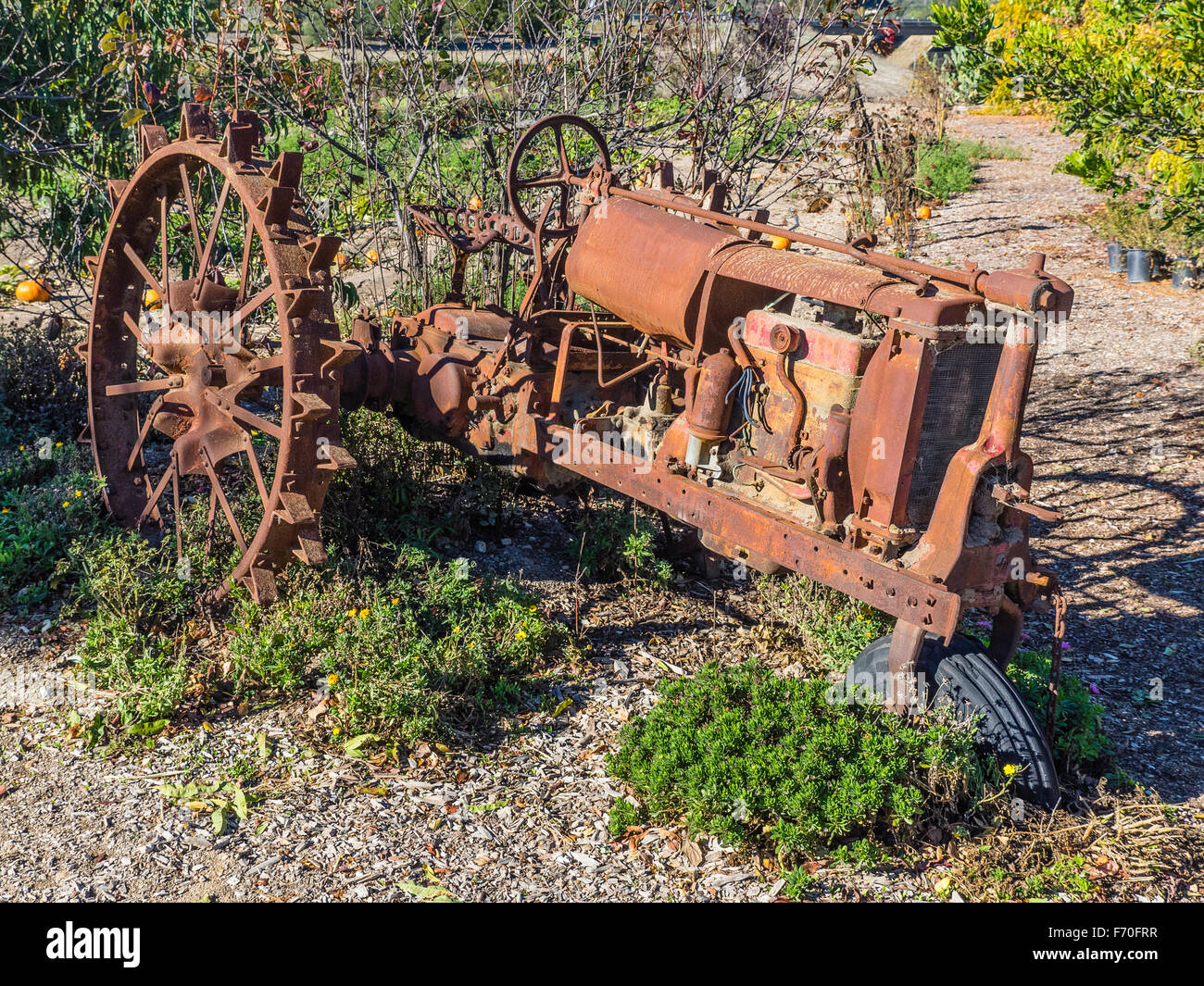 An antique abandoned deteriorated tractor rusting away in a field in ...