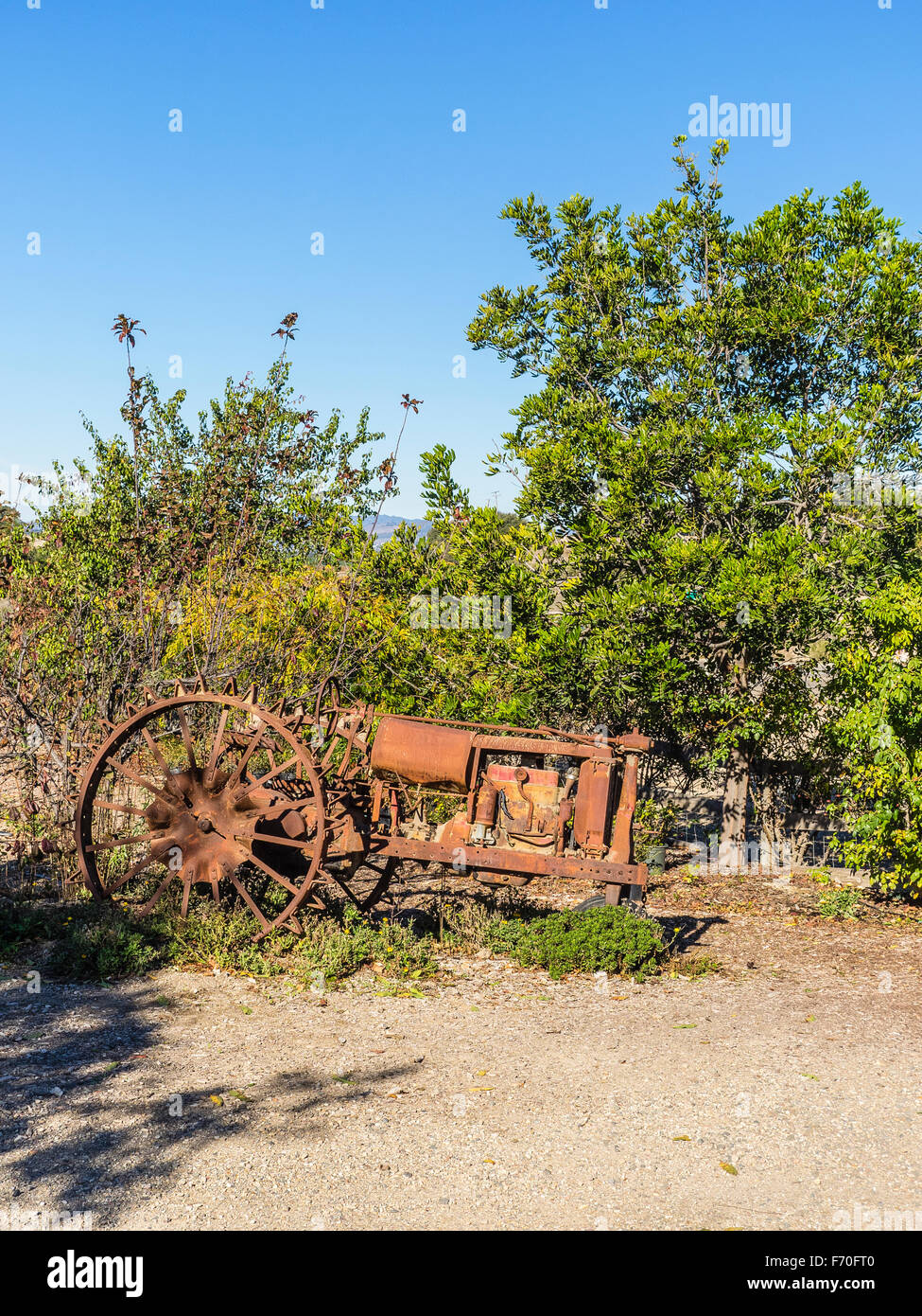 An antique abandoned deteriorated tractor rusting away in a field in ...