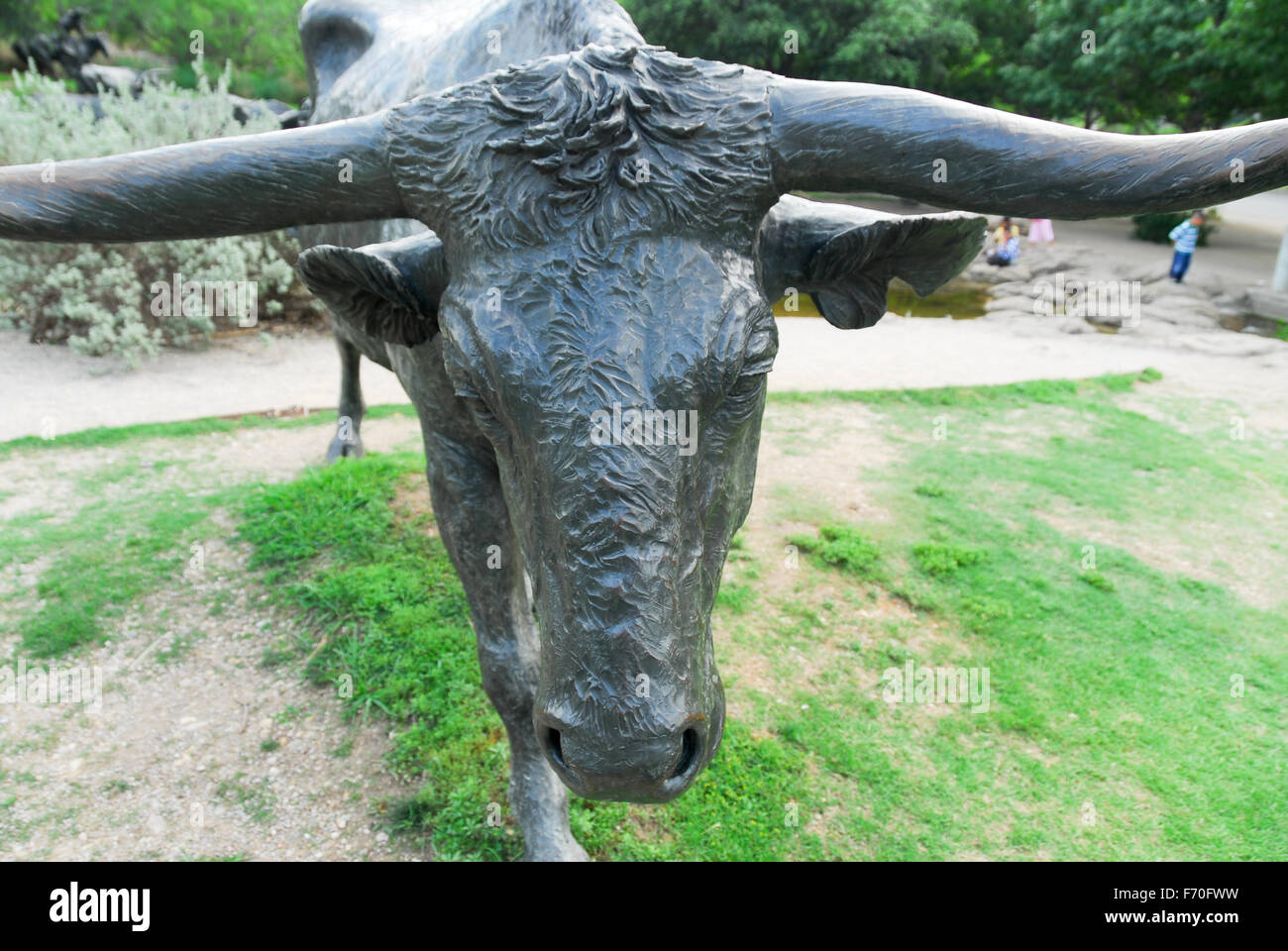 Dallas, Texas - May 13, 2007: Pioneer Plaza, cattle crossing a stream ...