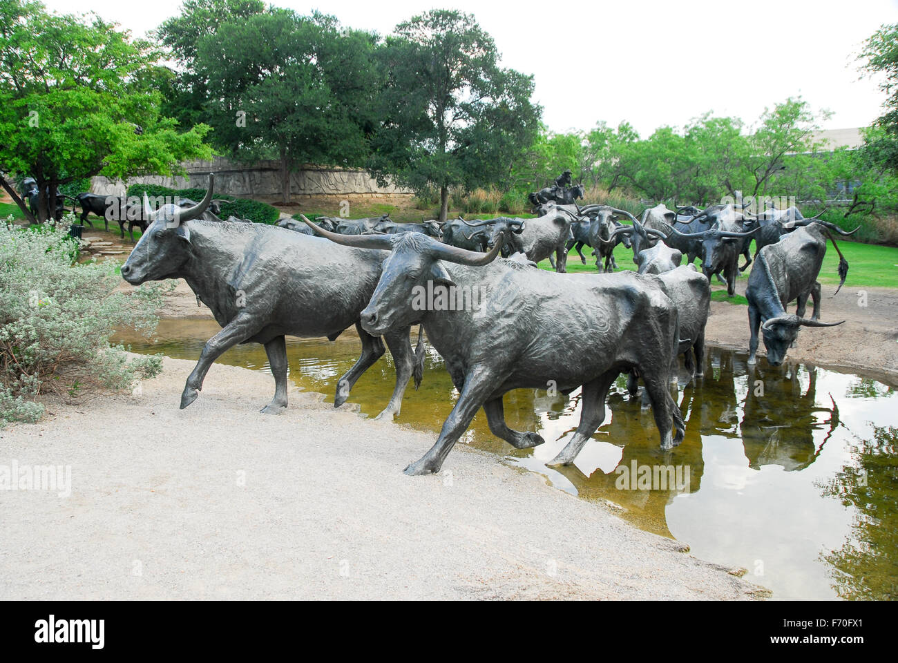 Dallas, Texas - May 13, 2007: Pioneer Plaza, cattle crossing a stream ...