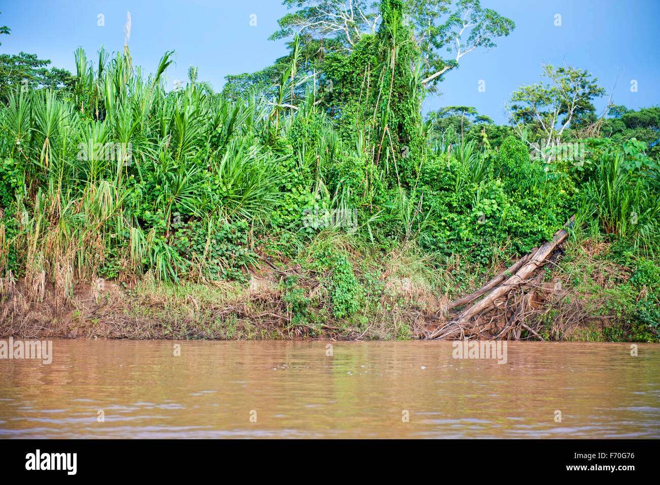 Amazon River Outside Stock Photo - Alamy