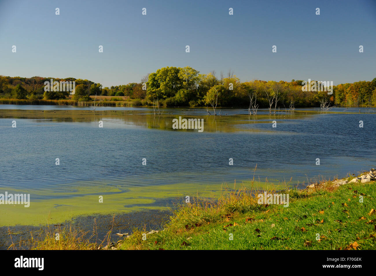 Southern Indiana Scenery