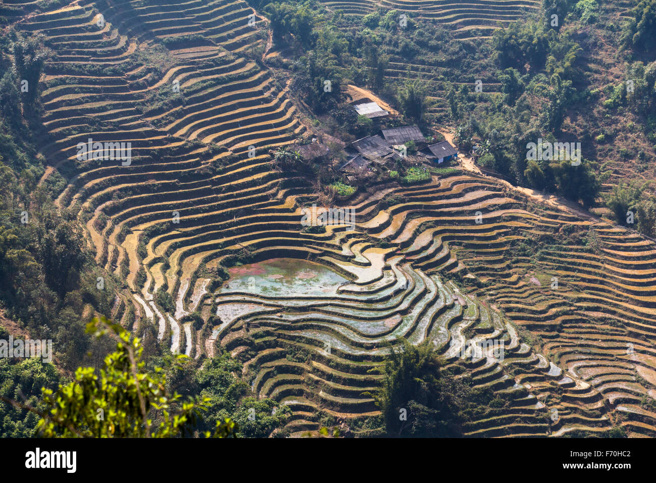 Rice terraces landscape in Sa Pa Stock Photo - Alamy
