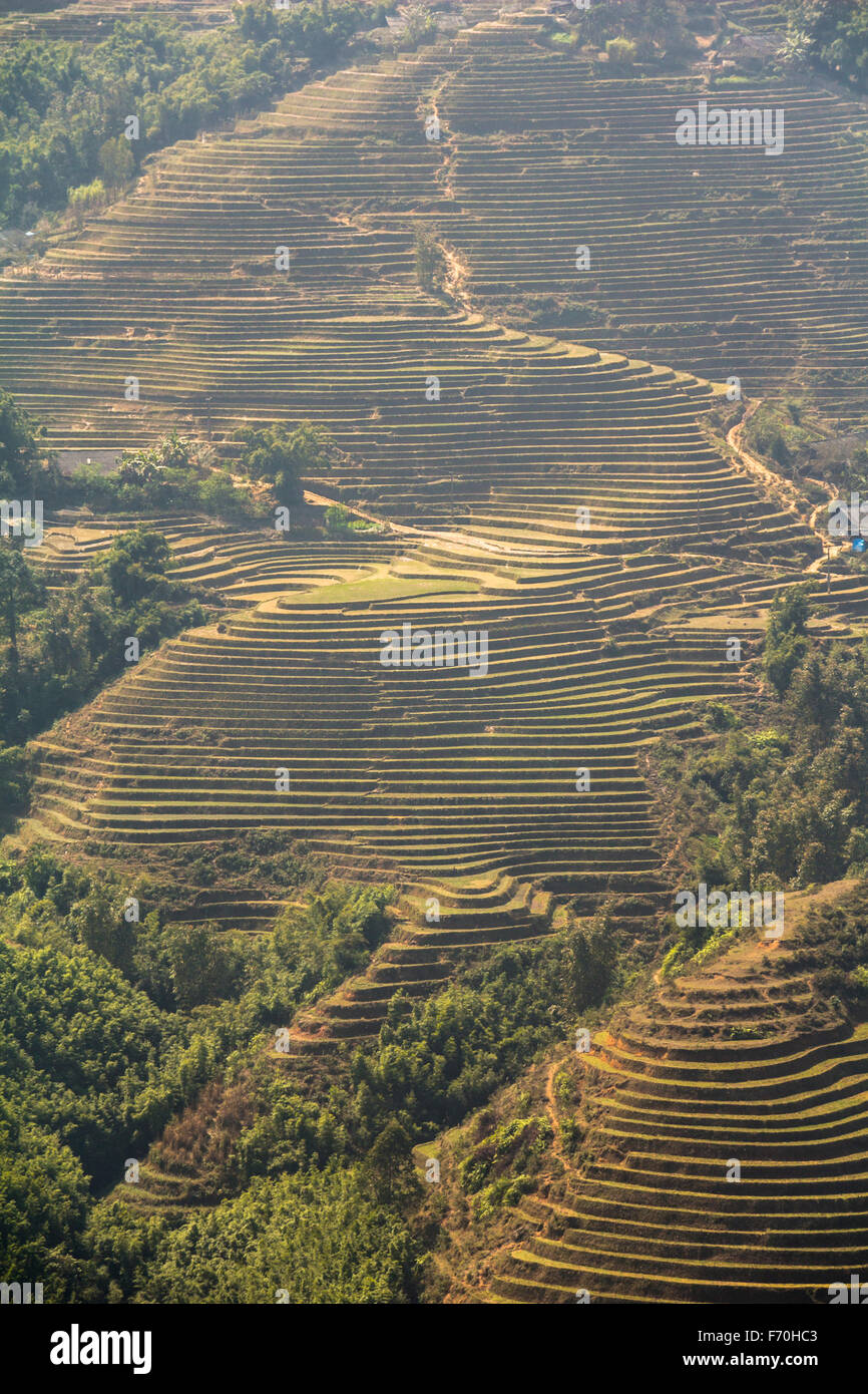 Rice terraces landscape in Sa Pa Stock Photo - Alamy