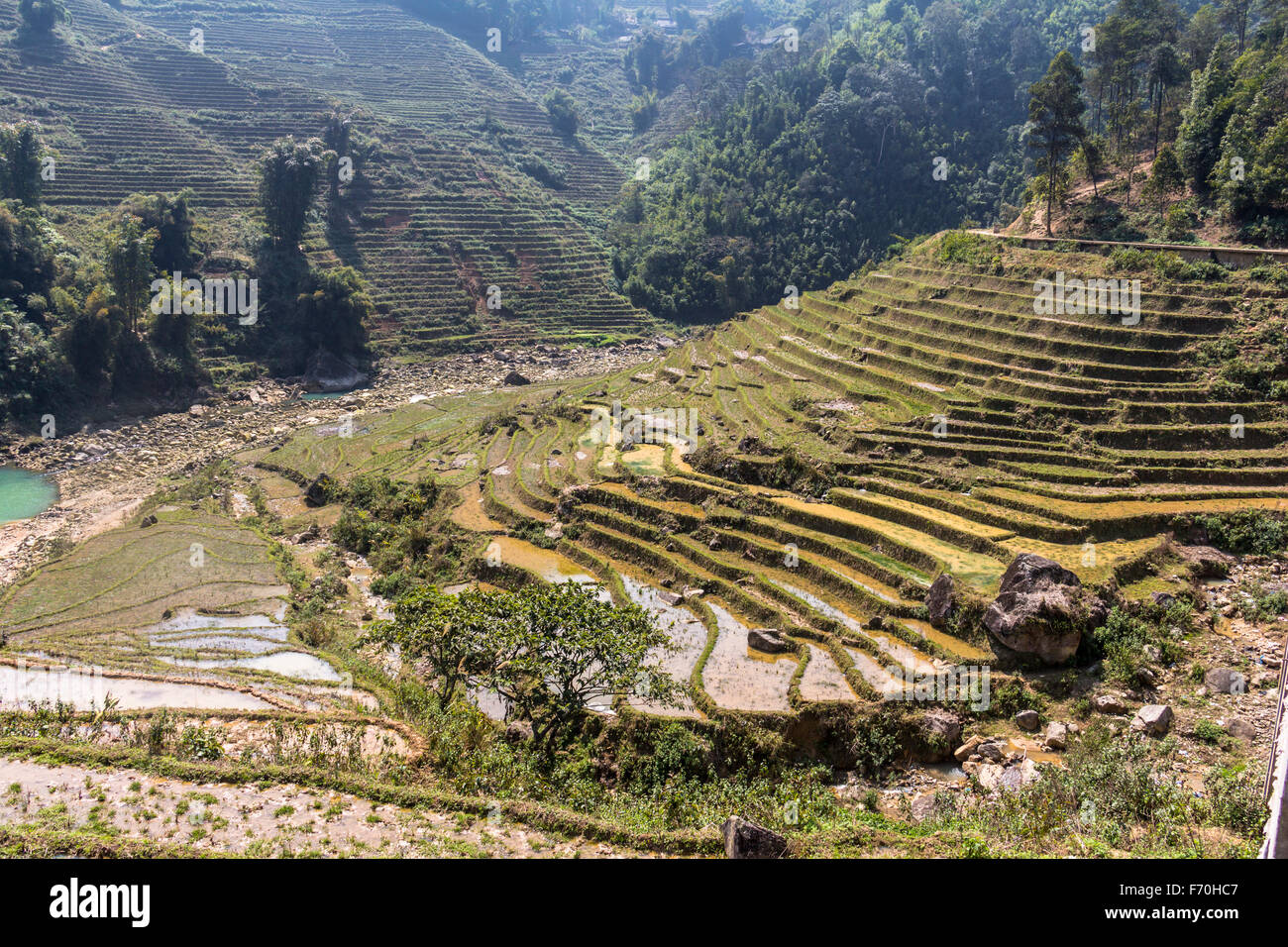 Rice terraces landscape in Sa Pa Stock Photo - Alamy