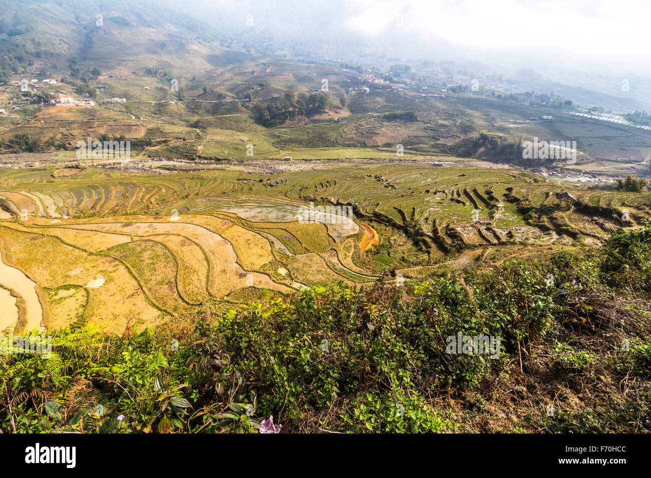 Rice terraces landscape in Sa Pa Stock Photo - Alamy